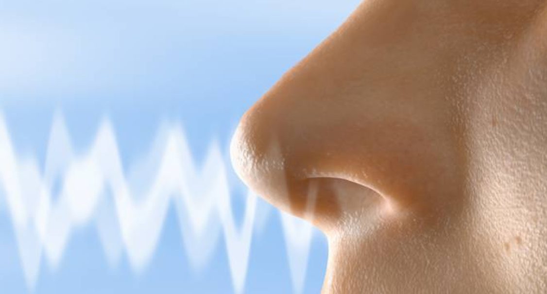 TrashTalk Fantasy League : un Kyle Kuzma à 57, bravo aux petits malins ...