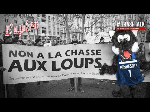 Apéro TrashTalk : retour sur le mauvais début de saison des Minnesota ...