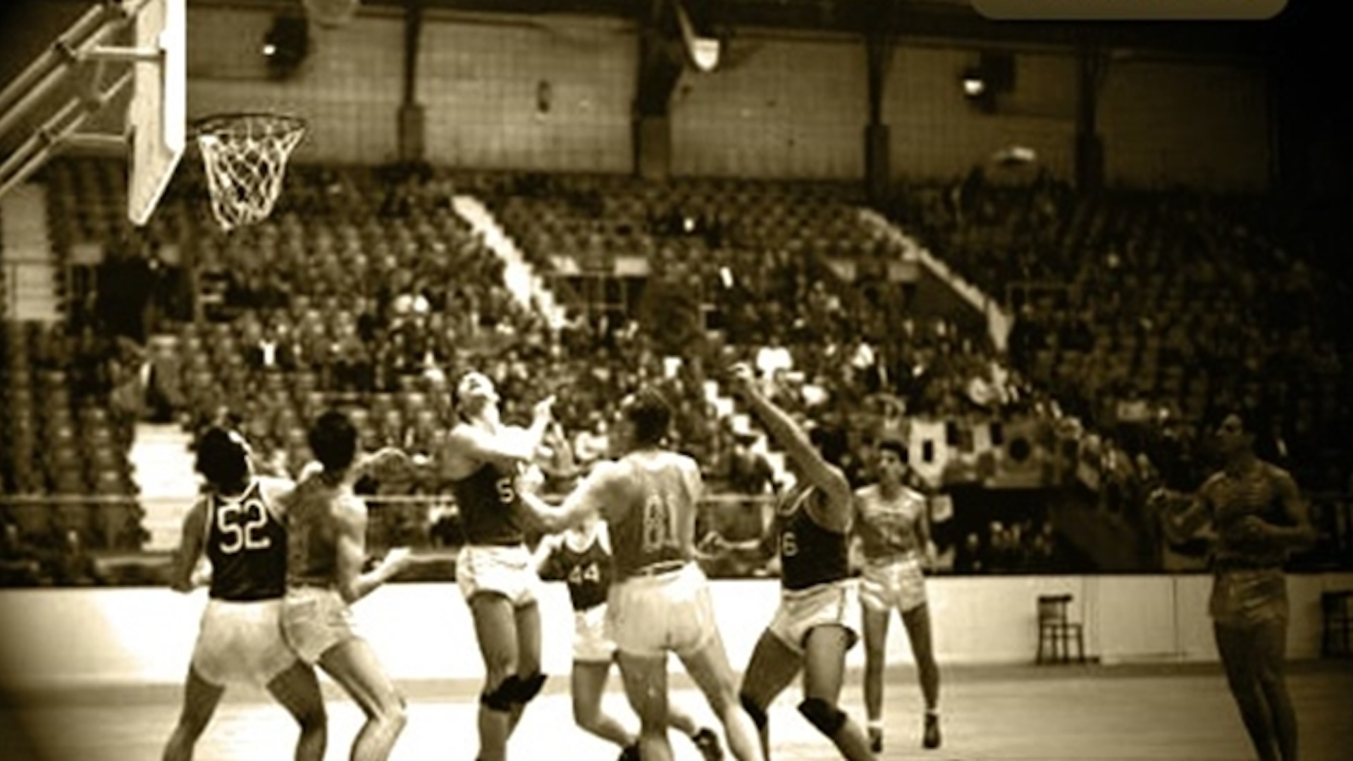 Basket aux Jeux Olympiques – Londres 1948 : encore les USA